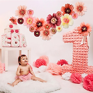 Crowye 24 Pcs Large Colorful Tissue Paper Flowers 20" Handcrafted Giant Fiesta Paper Flowers for Mexican Party Wedding Birthday Backdrop Baby Shower Nursery Craft Outdoor Wall Decor (Vivid Color)