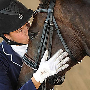 StressLess Hot Horse Supplement - 60 Day Supply - Promotes Calm & Focus - All Natural