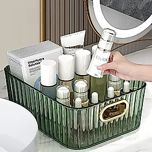 BIEDUM 2 Pack Open Compartment Clear Plastic Organizer, Rectangular Makeup and Vanity Storage Bin and Pantry Caddy with Pass-Through Handles for Bathroom Kitchen Refrigerator Organizers and Storage