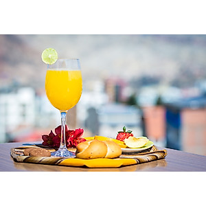 Elegant Plastic Wine Glasses by Savona | Unbreakable Wine Glasses | Ideal for Indoor/Outdoor Use | 100% Tritan Shatterproof Wine Glasses | Set of 4)