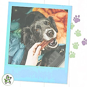 Nature Gnaws Premium Dog Chew Variety Pack - Tripe Twists, Beef Jerky and Bully Sticks for Dogs - Long Lasting Dog Chew Treats - Rawhide Free Dental Bones