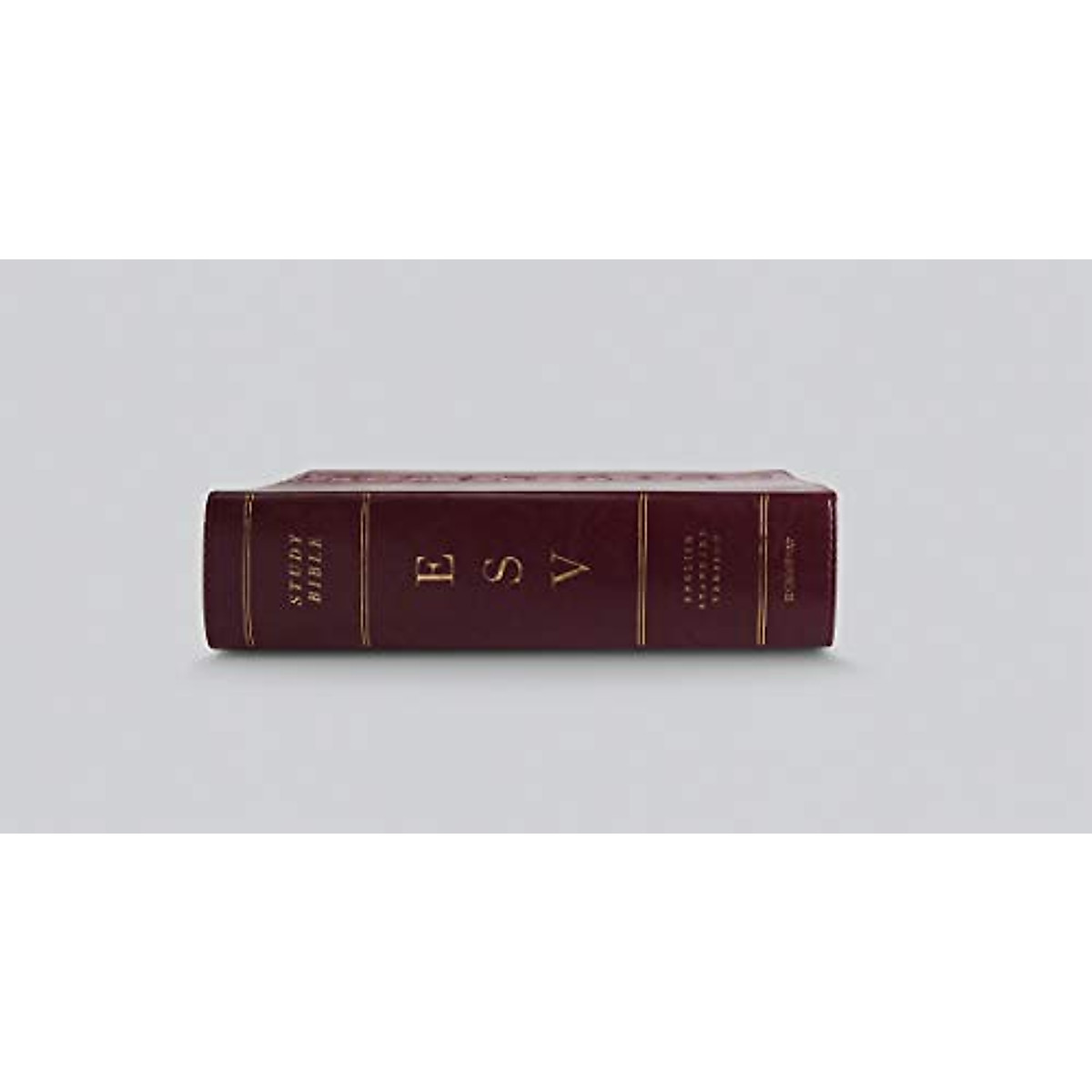 ESV Study Bible, Large Print (TruTone, Mahogany, Trellis Design)