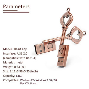 64GB USB 2.0 Flash Drive, BorlterClamp Memory Stick Retro Metal Love Heart Key Shaped Thumb Drive
