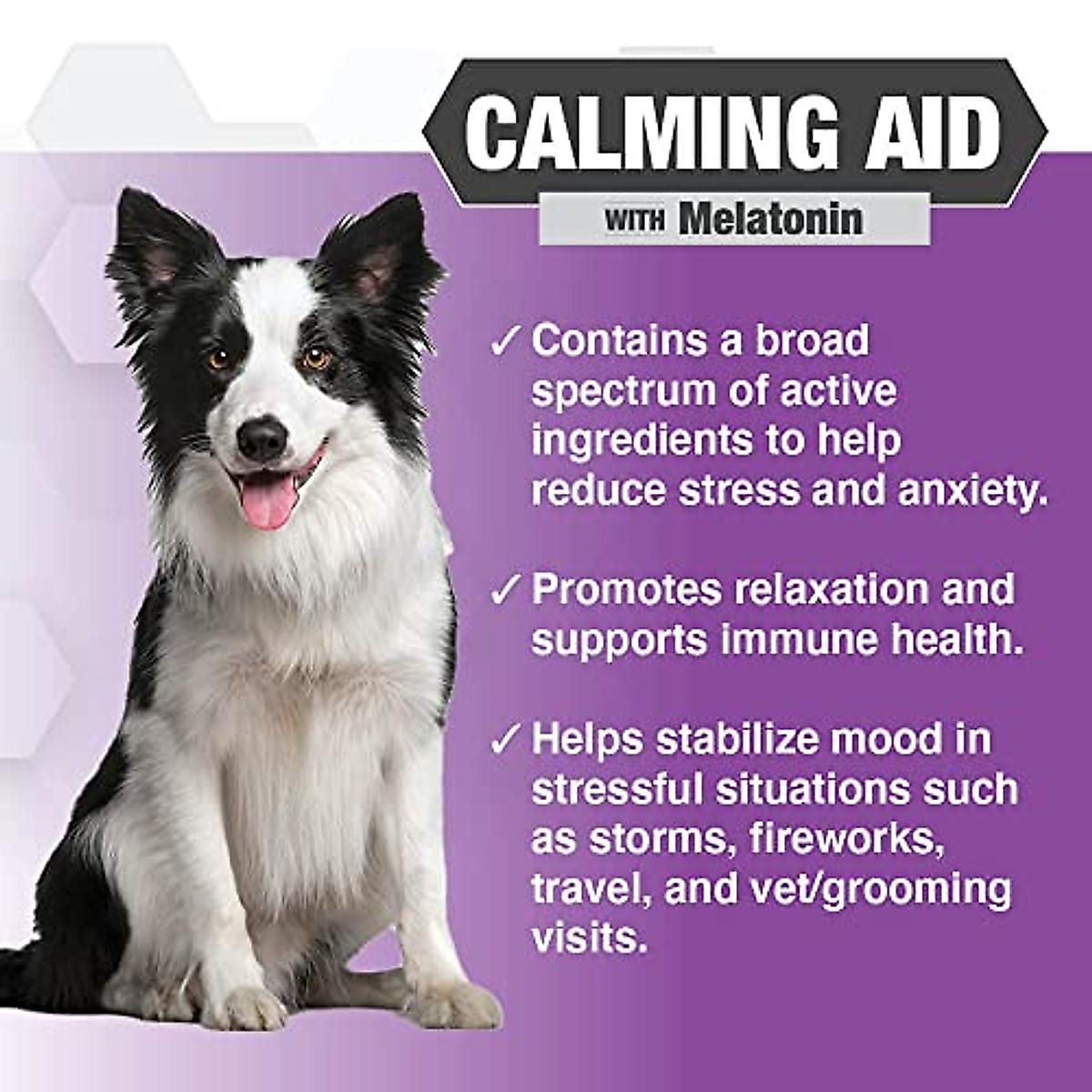 Nootie PROGILITY Daily Calming Aid Chews for Dogs - Aids Dog Anxiety, Separation Anxiety & Stress Relief with Melatonin - Dog Relaxant for All Size dogs - 90 ct. - Sold in Over 4,000 Pet Stores