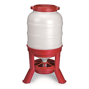 Little Giant® Plastic Dome Feeder | Heavy Duty Plastic Gravity Fed Poultry Feed Container Tank | Backyard Poultry for Hobbyists, Farmers and Ranchers | 60 LB