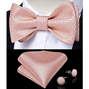 DiBanGu Mens Silk Tie and Bowtie Lapel Pin Tie Clip Set Paisley Solid Necktie and Pocket Square Cufflinks for Wedding Party, Blush Pink