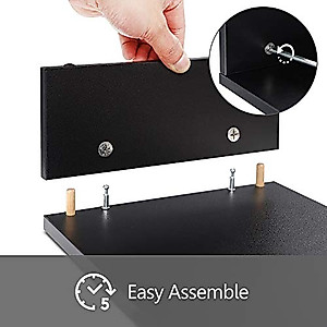 FITUEYES Monitor Stand - 2 Tier Computer Monitor Riser with 16.7 Inch Shelf, Wood Desktop Stand for Laptop Computer Screen, Desk Organization, Office Supplies,Black, DT204201WB