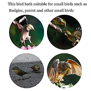 Bird Bath Cage Small Blue Bird Bath Tub Cover Shower Supplies for Cockatiel, Budgerigar, Macaw, Finch, Budgie, Parakeet, Conure, Canary, Parrots
