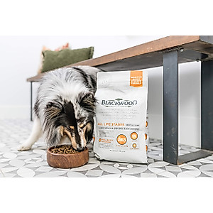 Blackwood Special Diet All Life Stages Dry Dog Food, 15Lb., Catfish & Pearled Barley Recipe, Sensitive Skin and Stomach, Grain Free Dog Food