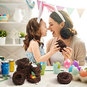 12 Pcs Artificial Bird Nest Easter Handmade Natural Rattan Bird Nests for Easter Garden Yard Home Crafts Party Wedding Patio Succulent Planter DIY Terrarium Moss Landscape (2.36 Inch)