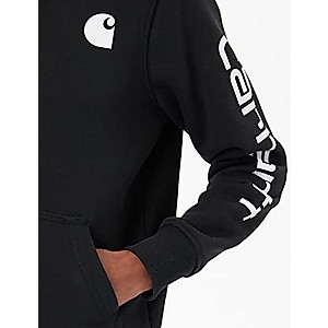 Carhartt Women's Clarksburg Graphic Sleeve Pullover Sweatshirt (Regular and Plus Sizes), Black, Medium