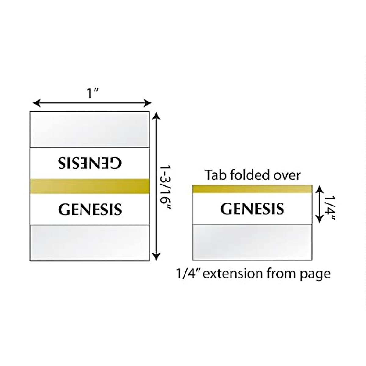 Tabbies Catholic Gold-Edged Bible Indexing Tabs, Old & New Testament Plus Catholic Books, 90 Tabs Including 71 Books & 19 Reference Tabs (58330)