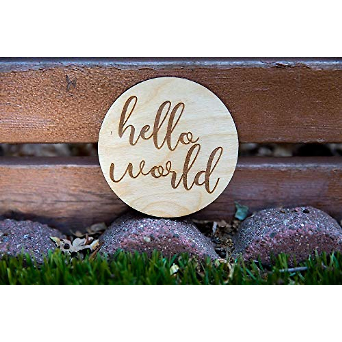 Baby Milestone Wood Circles
