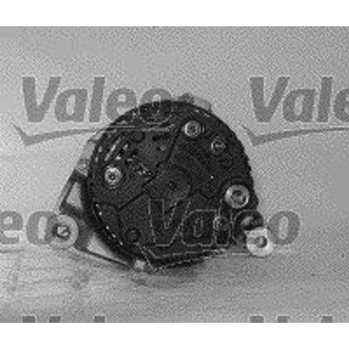 Artemio 18 x 10.5 cm Wooden Silhouette - Turtle and Pea Carapace