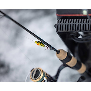 Northland Fishing Tackle Buck-Shot Ice Fishing Rattle Spoon, Bubblegum Tiger, 1/8 Oz, 1/Cd