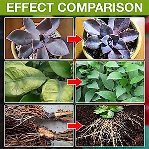 Plant Growth Enhancer Supplement, Rooting Hormone Supplement, 2023 New Plant Growth Enhancer Supplement for Plant Promotes Rooting, Grow New Plants from Cutting (3PCS)