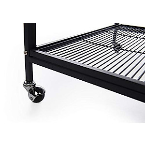 Prevue Pet Products Playtop Flight Bird Cage with Stand - F085, Black