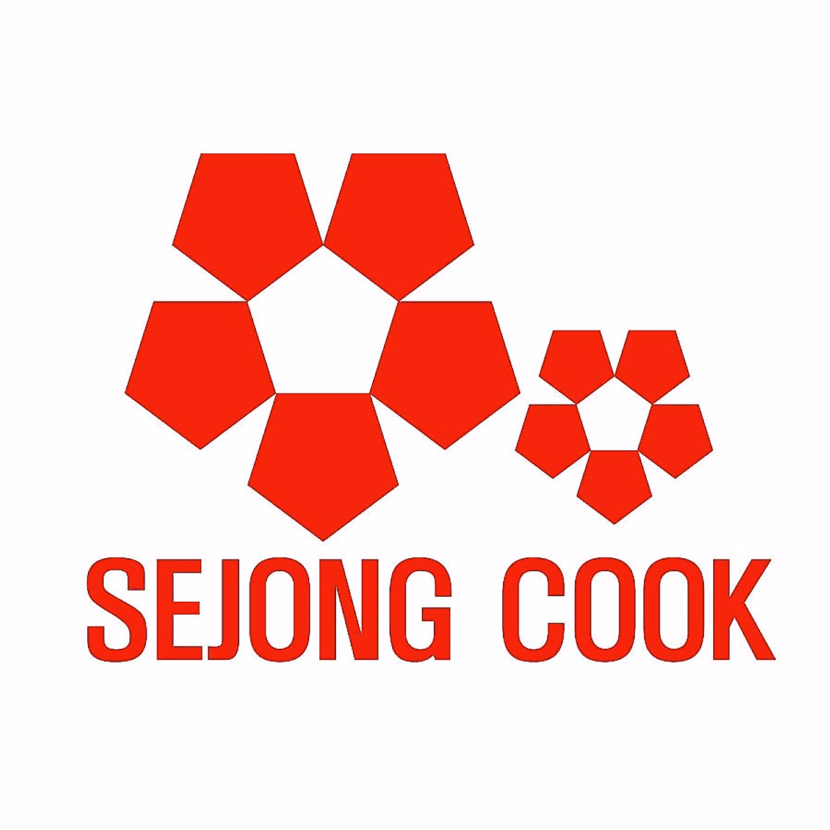 SEJONG COOK Oyster Shucking Knife, Commercial Grade Clam and Shellfish tool With Ergonomic Grip And Wood Handle, Good For Home Restaurant Kitchen And Outdoor (2.5T Stainless Steel)