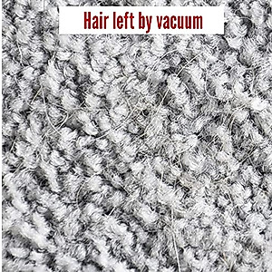 Lilly Brush Mighty Pet Hair Detailer Head (NO HANDLE) Dog Hair & Cat Hair Remover for Carpets and Rugs. Fits on ALL standard broom sticks.