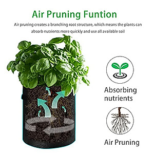 JJGoo 4 Pack Potato Grow Bags 10 Gallon with Flap, Heavy Duty Fabric Grow Bags with Handle and Harvest Window, Non-Woven Planter Pot Plant Garden Bags to Grow Vegetables Potato Tomato, Black