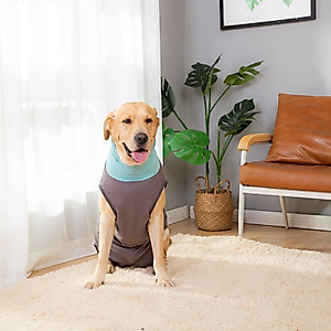 Musraya Dog Surgery Recovery Suit, Onesies for Dogs After Surgery, Dog Spay Recovery Suit Female, Breathable Neutering Recovery Suit for Male Dogs, Puppy Onesies Dog Surgical Suit (Darkgrey,S)