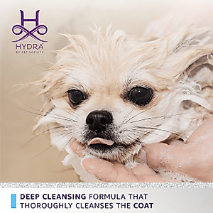 Hydra Professional X-Treme Clarifying Shampoo, Pet Shampoo for Dogs and Cats, Removes Oil and Grease, Suitable for All Breeds and Coat Types