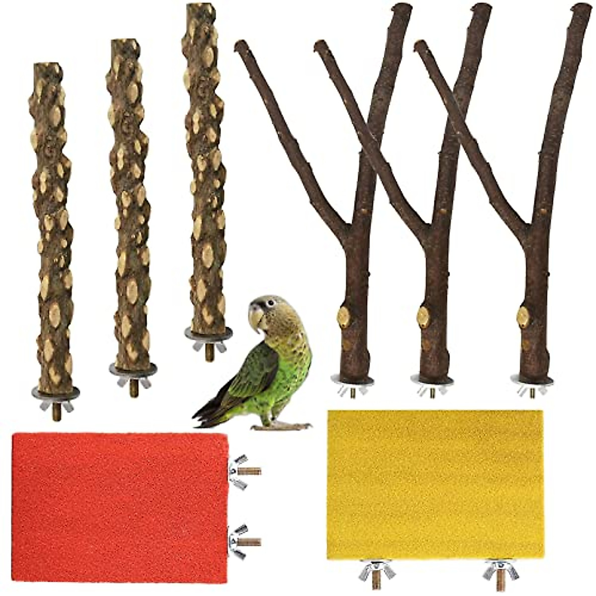 kathson Natural Bird Perch Parakeet Wood Stand Sticks Branches Parrot Paw Grinding Platform Bird Cage Accessories for Budgies Parakeet Cockatiels Conures Lovebirds (8 PCS)
