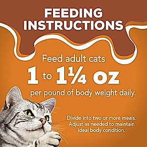Purina Friskies Gravy Wet Cat Food Variety Pack, Extra Gravy Chunky - (24) 5.5 oz. Cans