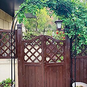 Garden Arch Simple Climbing Plants Rose Arch,Weatherproof Galvanized Pergola Arbor Trellis,for Outdoor Terrace/Garden Decoration Rose Trellis (Color : Black, Size : 300x220x25cm)