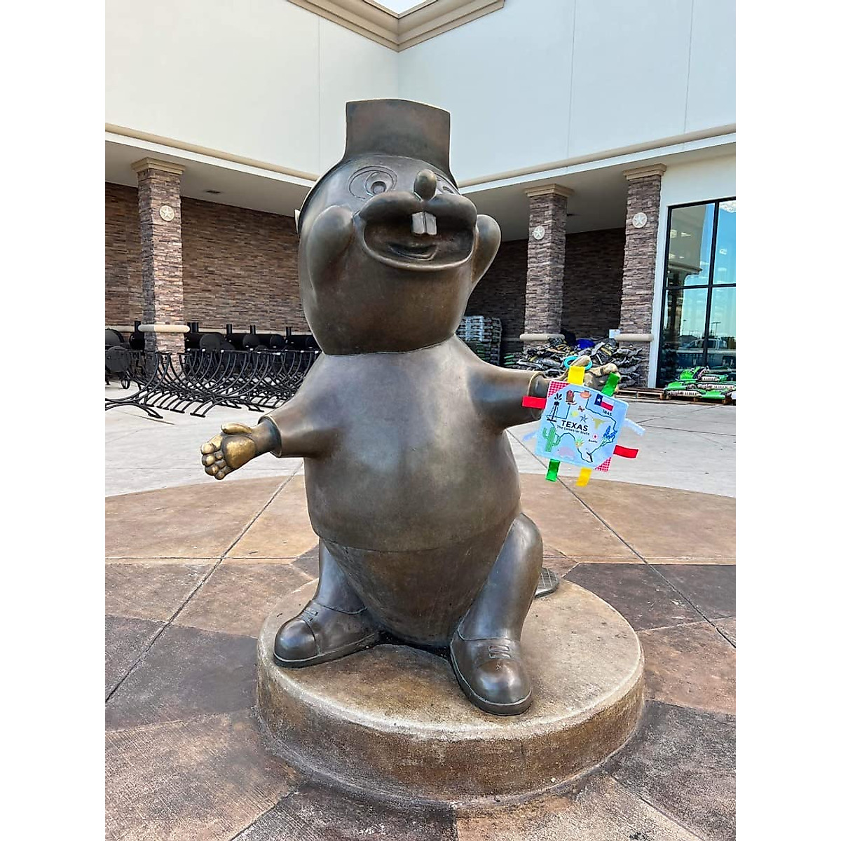 Baby Jack & Co 8x8” Learning Lovey Tag Toys for Babies - Baby Crinkle Toys - Crinkle Toys for Baby - Soft & Safe - Learn USA State Facts - Ideal Baby Toy BPA Free w/Stroller Clip (Texas)