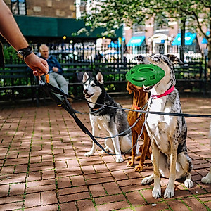 TEHAUX Pet Sound Toys Football Rubber