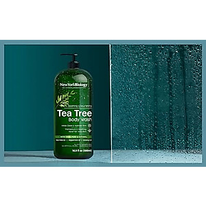 New York Biology Tea Tree Body Wash for Men and Women - Moisturizing Body Wash Helps Soothe Itchy Skin, Jock Itch, Athletes Foot, Nail Fungus, Eczema, Body Odor and Ringworm - 16.9 Fl Oz