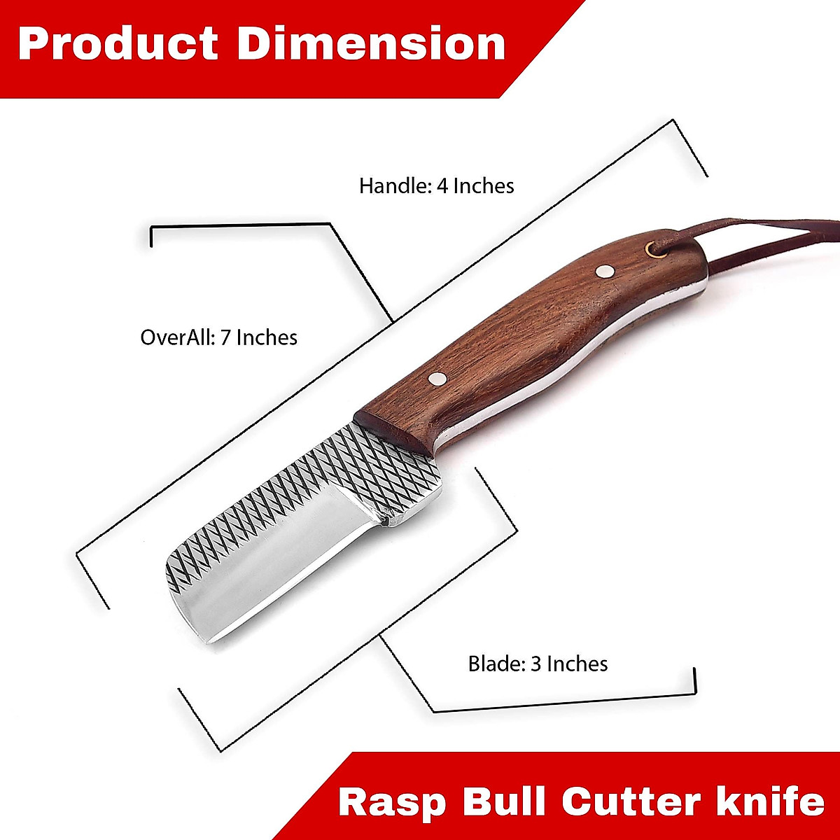 TH knives Handmade Farrier Rasp Steel Bull Cutter Knife with Pancake leather Sheath Fixed Blade Western Cowboy knife, Utility knife for Hunting, Camping, outdoor Full Tang EDC knife with Burn Bone