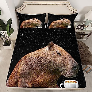 Capybara Twin Size Bed Sheets Boys Girls Capybara Animals Lovers Bed Sheet Set For Kids Women Men Galaxy Starry Sky Ultra Soft Fitted Sheet Coffee Brown Black White Bedding Sheets Bedroom Decor 3Pcs