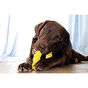 GNAWLY DOG Chew Toys for Aggressive Chewers, 5 Pack, Flavor Infused Heavy Duty Rubber Bones, Ring, Antlers, Ropes and Animal, Indoor and Outdoor Play for Medium to Large Breeds