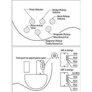 Ibanez SR Portamento 4-String Fretless Electric Bass Guitar (Right-Handed)