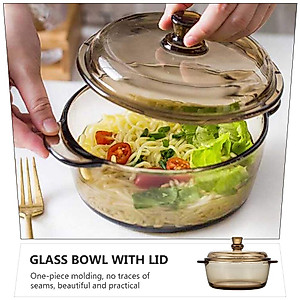 Hemoton 1pc Amphora Large Pho Bowls Ramen Noodle Pot Clear Cookware Stew Pots with Lids Restaurant Serving Bowl Fruit Bowl Baking Dish with Lid - Bowl Glass Salad Salt Toddler