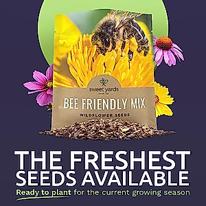 Bee Friendly Wildflower Seed Mix - Bulk 1 Ounce Packet - Over 7,500 Open Pollinated Seeds - Save The Bees!