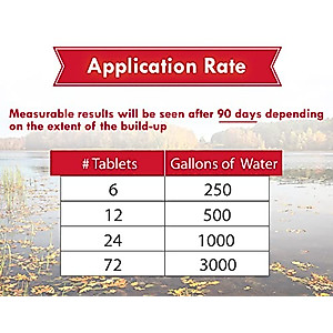 KoiWorx Muck Reducer, 145 Tablets Treats up to 6,000 Gallons of Water, Beneficial Bacteria Reduces Muck, Sludge and Organic Build up, Formulated for Ponds, Water Features and Safe for Koi