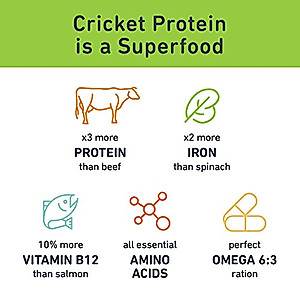 Jiminy's Cricket Treats - Chewy Hypoallergenic Dog Treats, 100% Made in The USA, Cricket Dog Treats, Gluten-Free, Sustainable, All Natural Dog Treats, High Protein - Sweet Potato & Pea, 6oz Bag