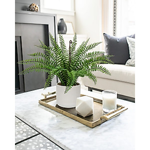 DILATATA Faux Plant Indoor in Ceramic Pot 16" Artificial Potted Boston Fern Fake House Plants for Desk Office Bathroom Garden Decoration