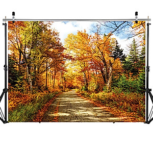 SJOLOON Fall Photography Backdrop Autumn Backdrop Golden Fallen Leaves Real Natural Landscape Photography Background for Party Decoration Banner Baby Shower Studio Props 11631 (7x5FT)