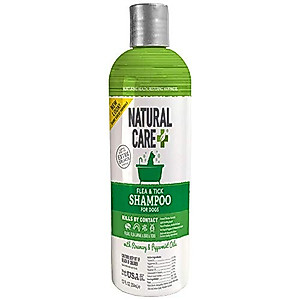 Natural Care Flea and Tick Dog Shampoo | Flea Treatment for Dogs | Flea Killer with Certified Natural Oils | 12 Ounces