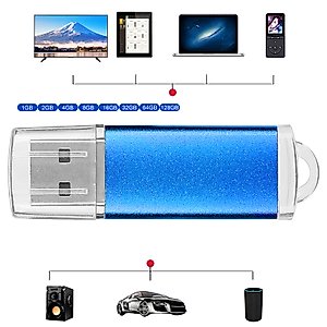 Kafuty-1 USB 2.0 Flash Drive,Storage Memory Stick Pen Drives with Transparent Cover,Portable Thumb Drives Flash Drive for Window2003/XP/Vista/7/8/10/ OS X/Linux,Blue(1GB)