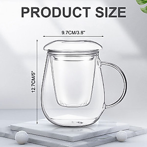 Rtteri Set of 2 Glass Tea Cup with Infuser and Lid 17.6 oz Clear Glass Mugs Thickened Glass Tea Infuser Cup Simple Filtration Teacups for Tea Bag Loose Leaf Tea Blooming Tea