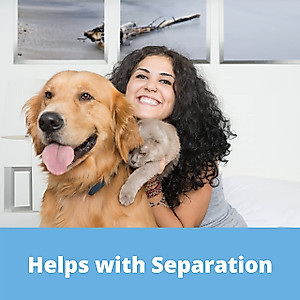 House of Healing Hemp Oil Calming Aid for Dogs & Cats :: 1,500mg 1oz :: Hemp Extract for Pets :: Rich in Omega 3,6,9 :: Supports Hip & Joint Health, Natural Relief for Pain, Separation and More