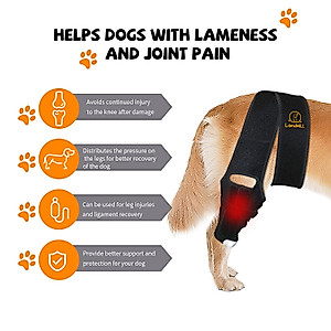 Landwill Dog Knee Brace for Cruciate Ligament Injury Joint Pain Muscle Soreness. Adjustable Dog Leg Brace, Dog Support Brace,Dog Hind Leg Support.(Black L)