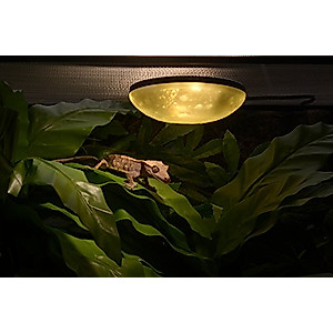 Exo Terra Exo Terra Full Moon