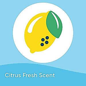 Windex Disinfectant Cleaner - Multisurface Spray Bundle, Includes a 23 fl oz Spray and a 32 fl oz Refill, Works on Kitchen and Bathroom Counters and More, Citrus Fresh Scent