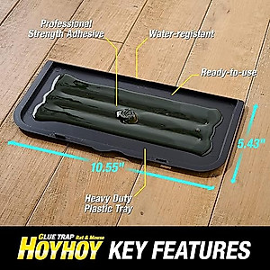 HOY HOY Rat & Mouse Regular Size Glue Trap 8 Traps [4 Pack] - Heavy-Duty Professional Strength Ready-to-Use Pest Control, Kids & Pets Friendly Indoor Home Mouse and Other Household Pests